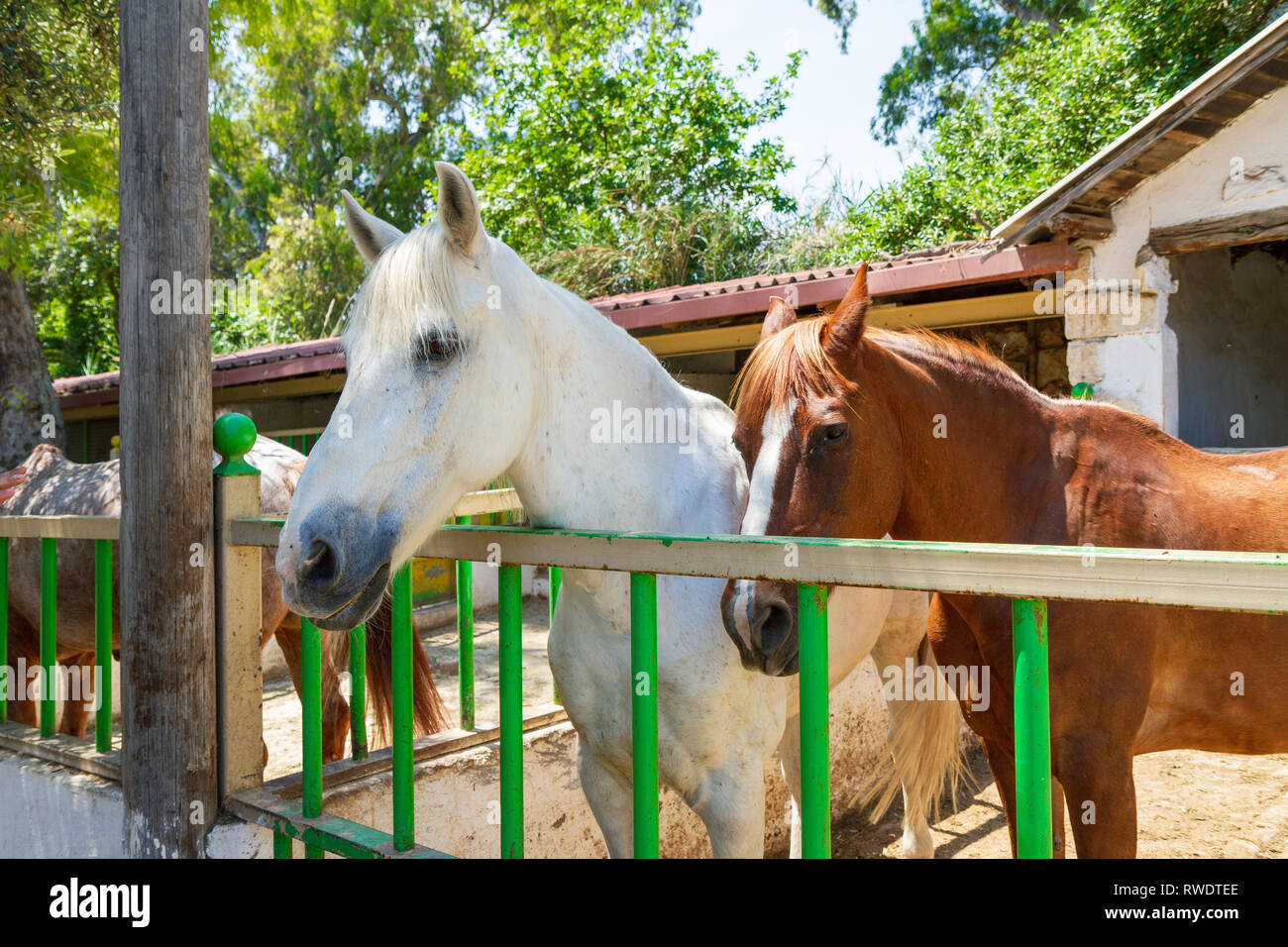 Outdoor stables hi-res stock photography and images - Alamy