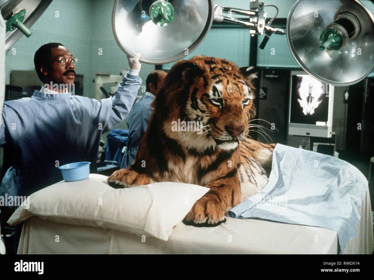 Eddie Murphy Tiger Doctor Dolittle High Resolution Stock Photography ...