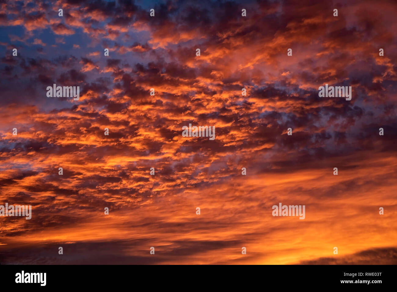 The magnificent deep blue color of the sky and golden yellow and orange ...