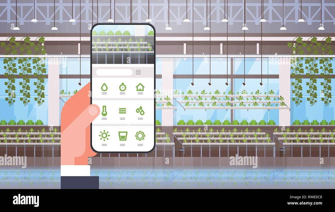 hand holding smartphone using smart control farming system mobile ...