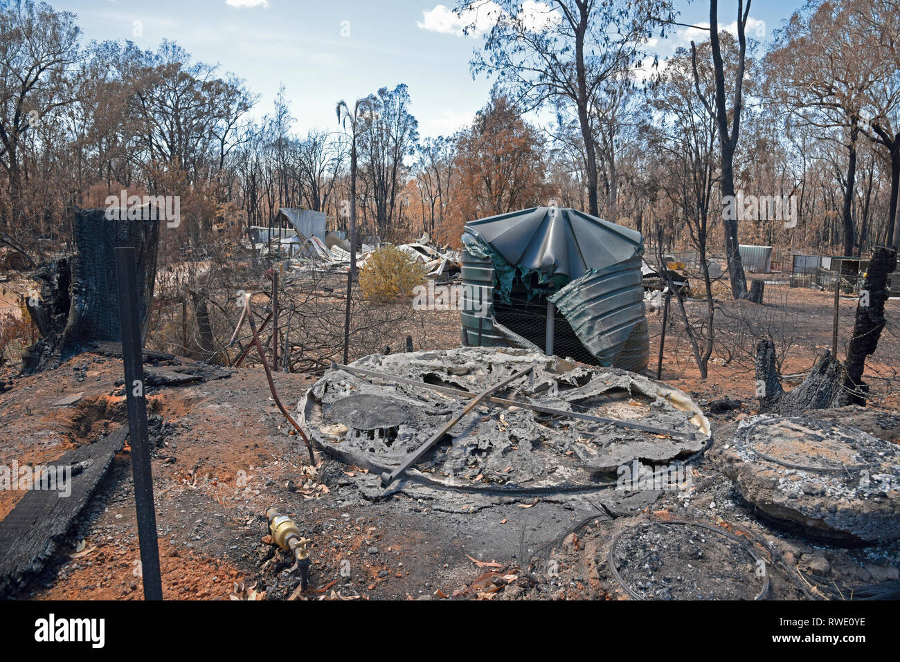 Aftermath of the 2019 bushfire in Tingha in northern new south wales ...