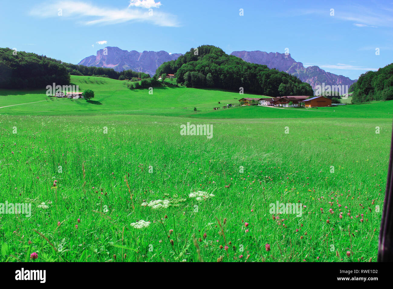 open landscape with a farm and with the alps in the background Stock ...