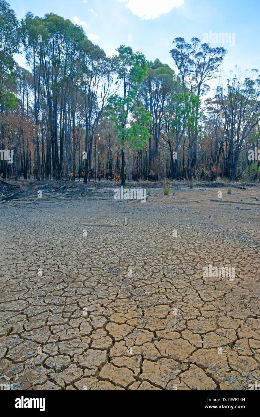 deeply cracked ground in outback Australia during devastating drought ...