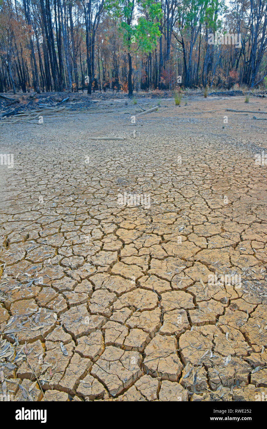 deeply cracked ground in outback Australia during devastating drought ...