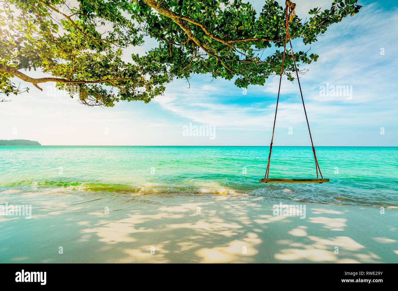 Wooden swings hang from branch of tree at seaside. Emerald green sea ...