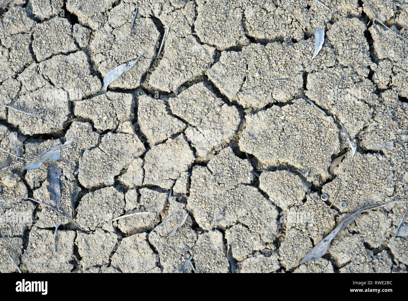 deeply cracked ground in outback Australia during devastating drought ...