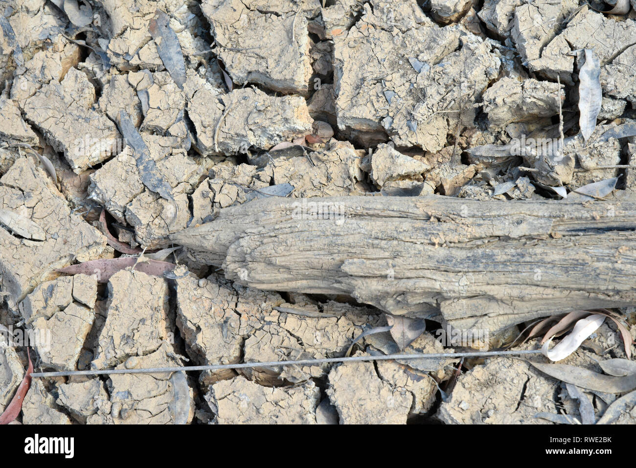 deeply cracked ground in outback Australia during devastating drought ...