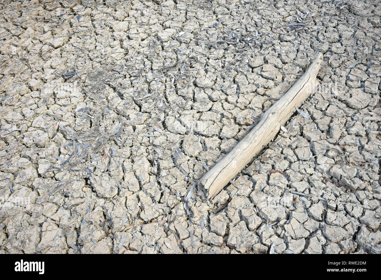 deeply cracked ground in outback Australia during devastating drought ...