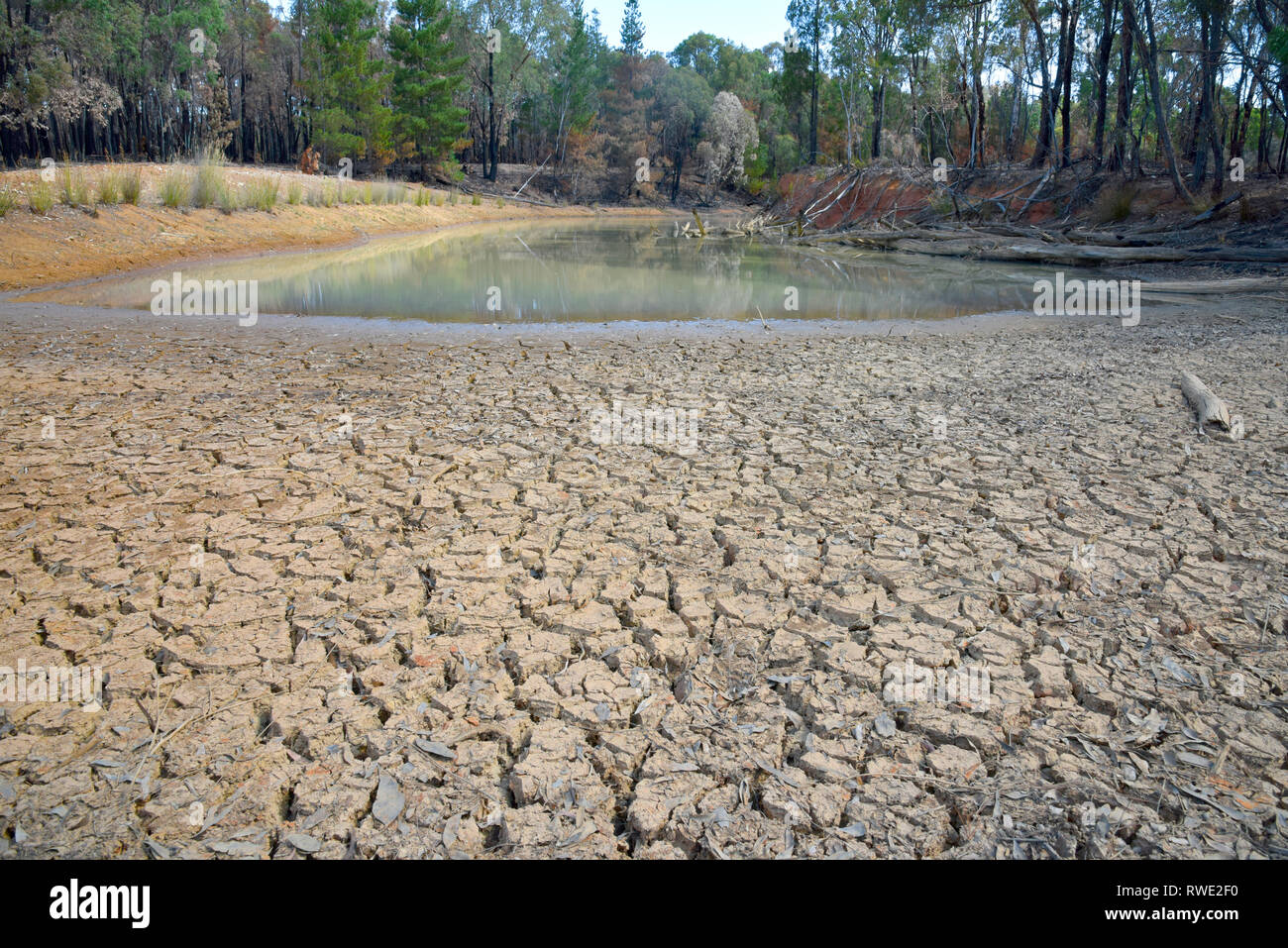 deeply cracked ground in outback Australia during devastating drought ...