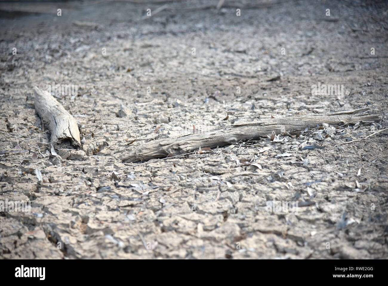 deeply cracked ground in outback Australia during devastating drought ...