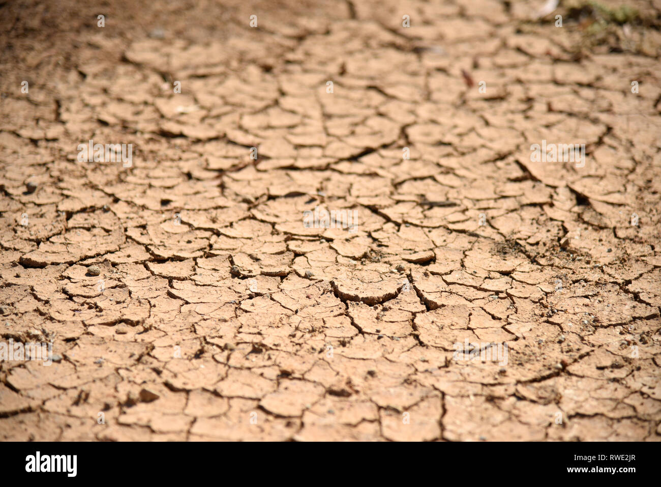 deeply cracked ground in outback Australia during devastating drought ...