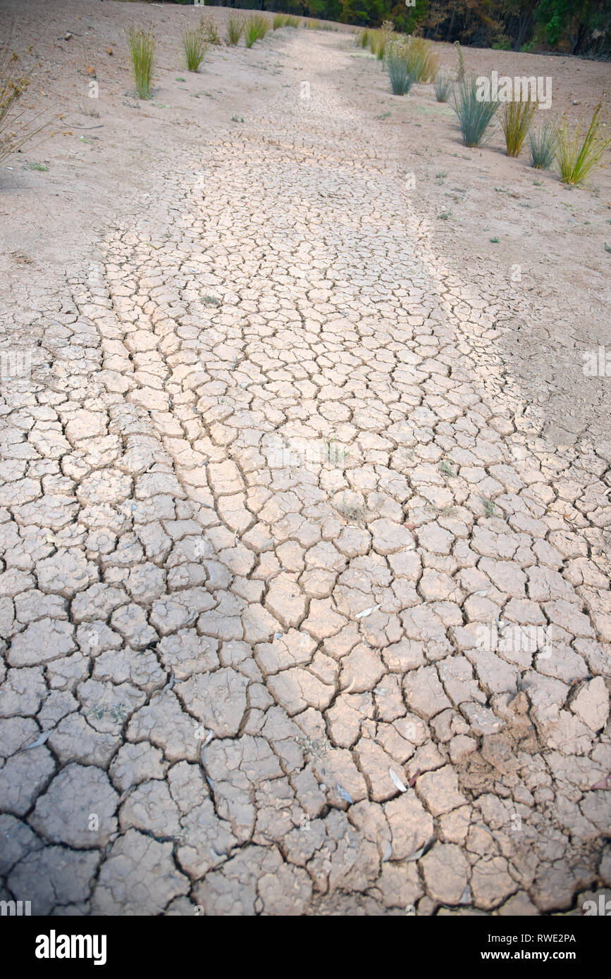 deeply cracked ground in outback Australia during devastating drought ...
