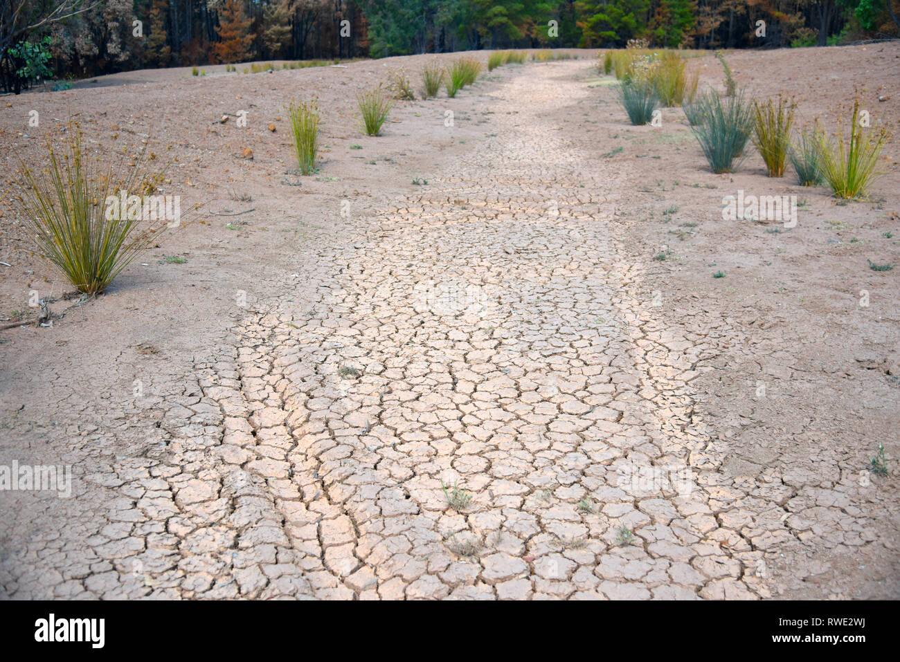 deeply cracked ground in outback Australia during devastating drought ...