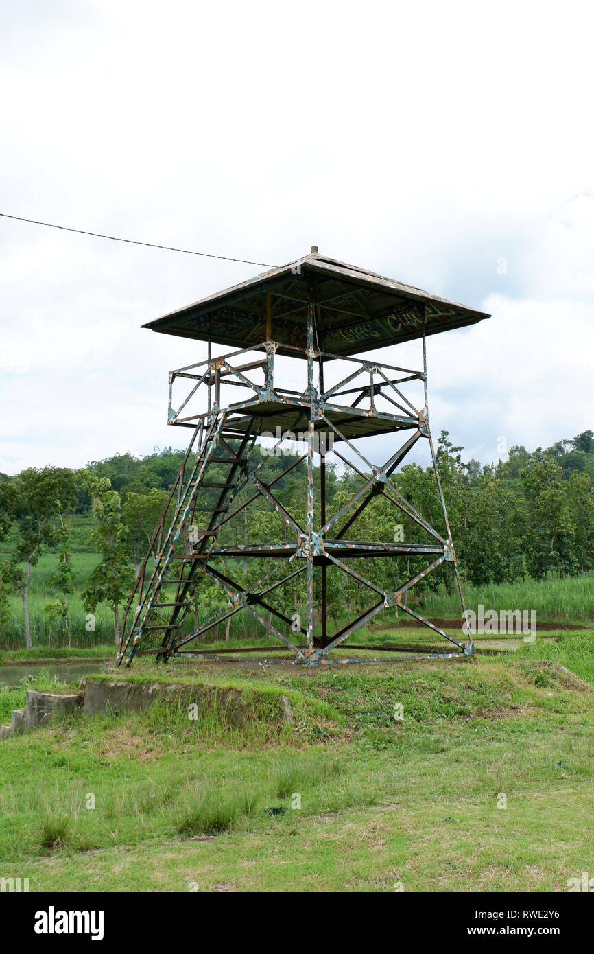 Traditional hunting practice hi-res stock photography and images - Alamy