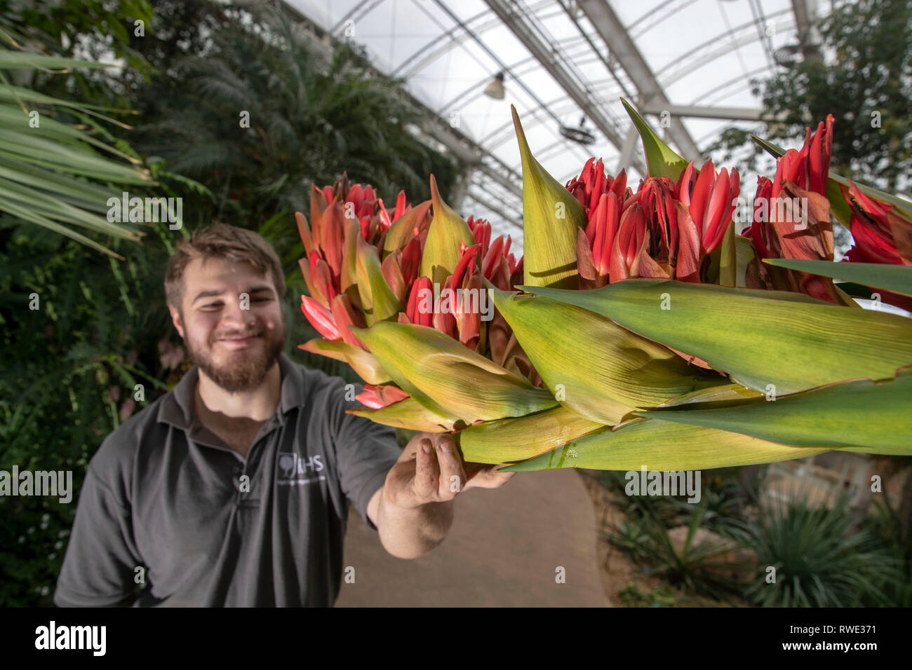 Callum Munro-Faure looks over the 18-year-old giant spear lily ...
