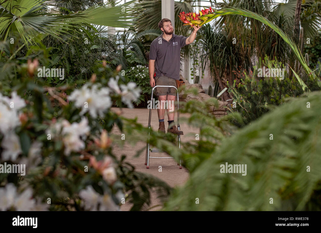 Callum munro faure looks over the 18 year old giant spear lily hi-res ...