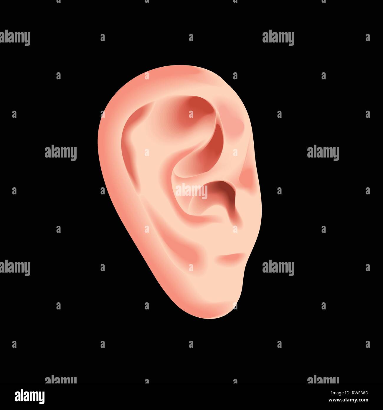 Closeup earlobe black hi-res stock photography and images - Alamy
