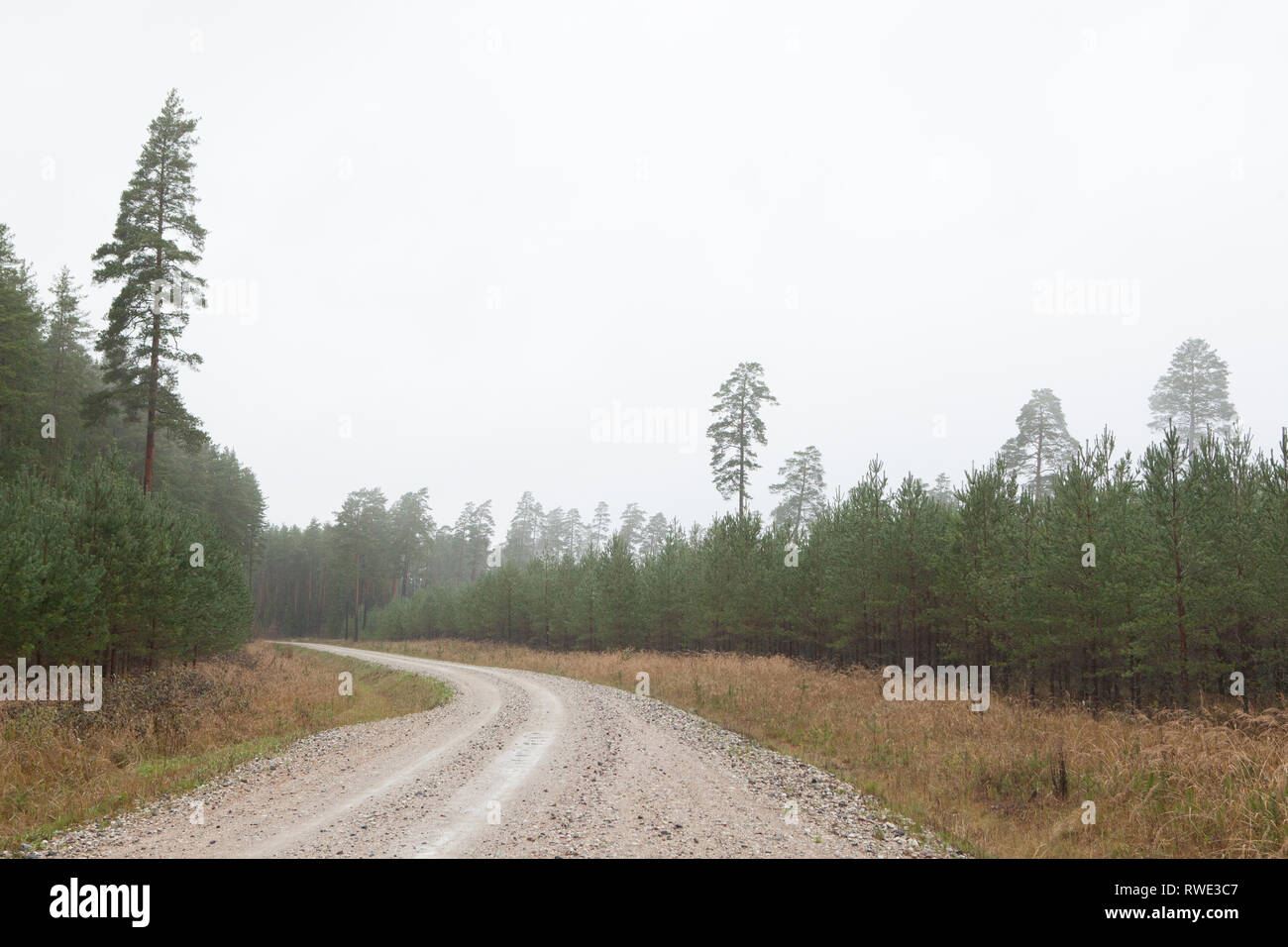 Reforestation europe hi-res stock photography and images - Alamy