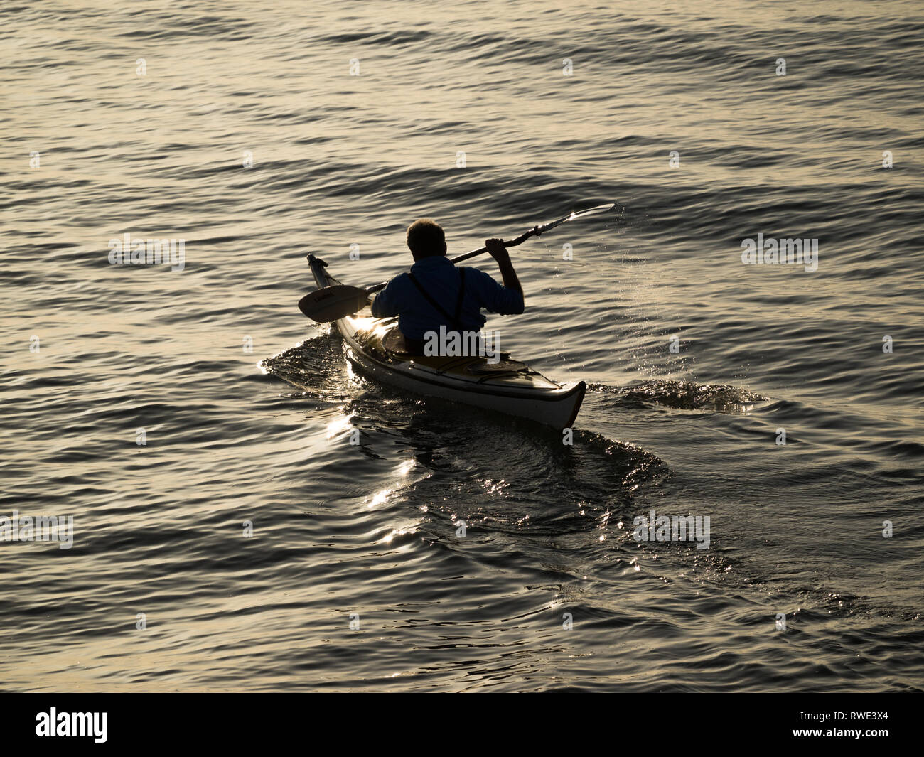 Kayaking kayak male man hi-res stock photography and images - Alamy