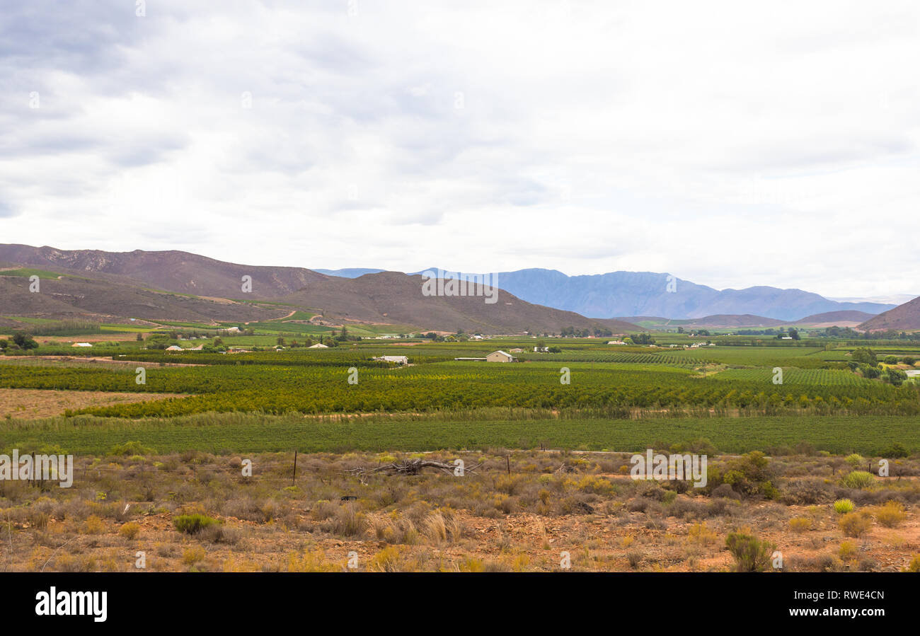 Robertson wine valley at the heart of the wine route, situated in the ...