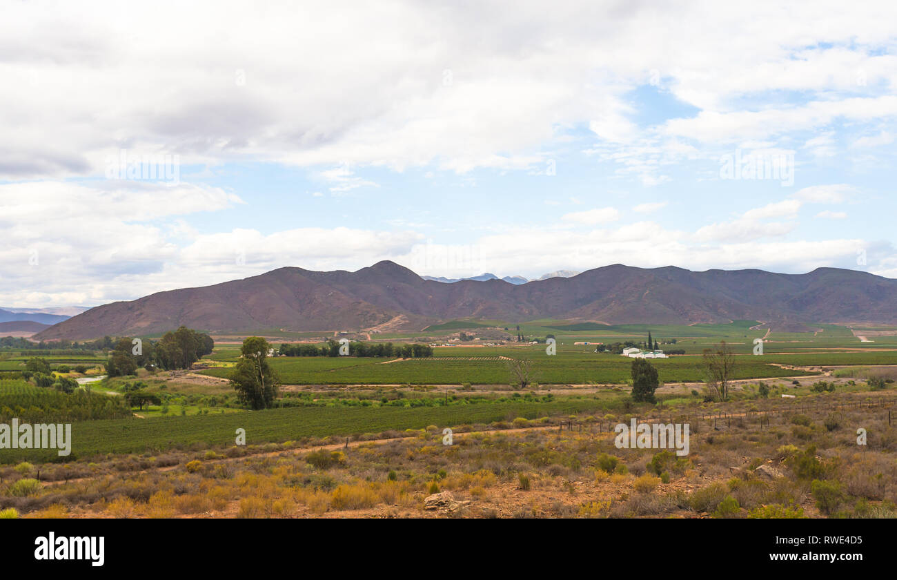 Robertson wine valley at the heart of the wine route, situated in the ...