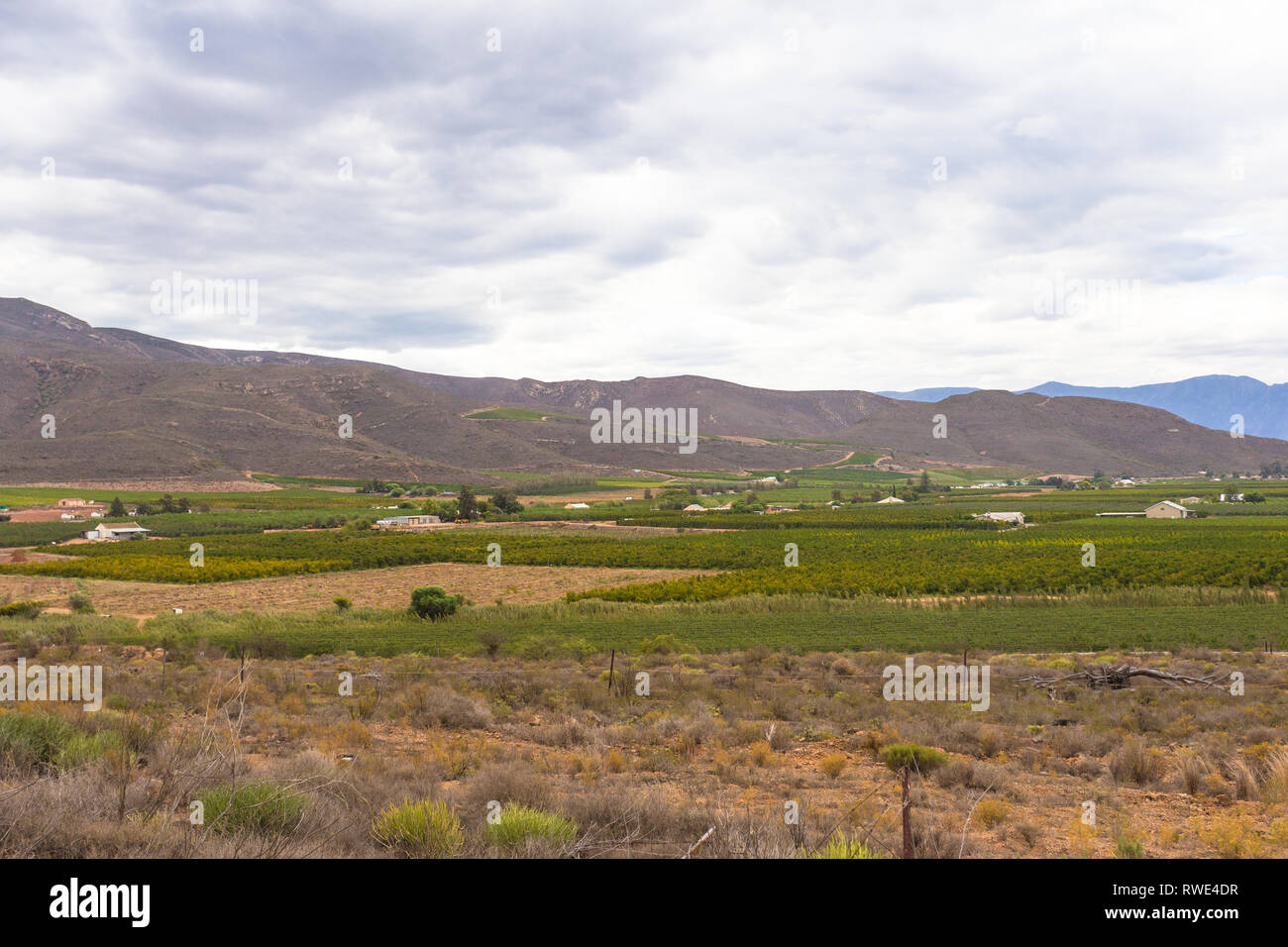 Robertson wine valley at the heart of the wine route, situated in the ...