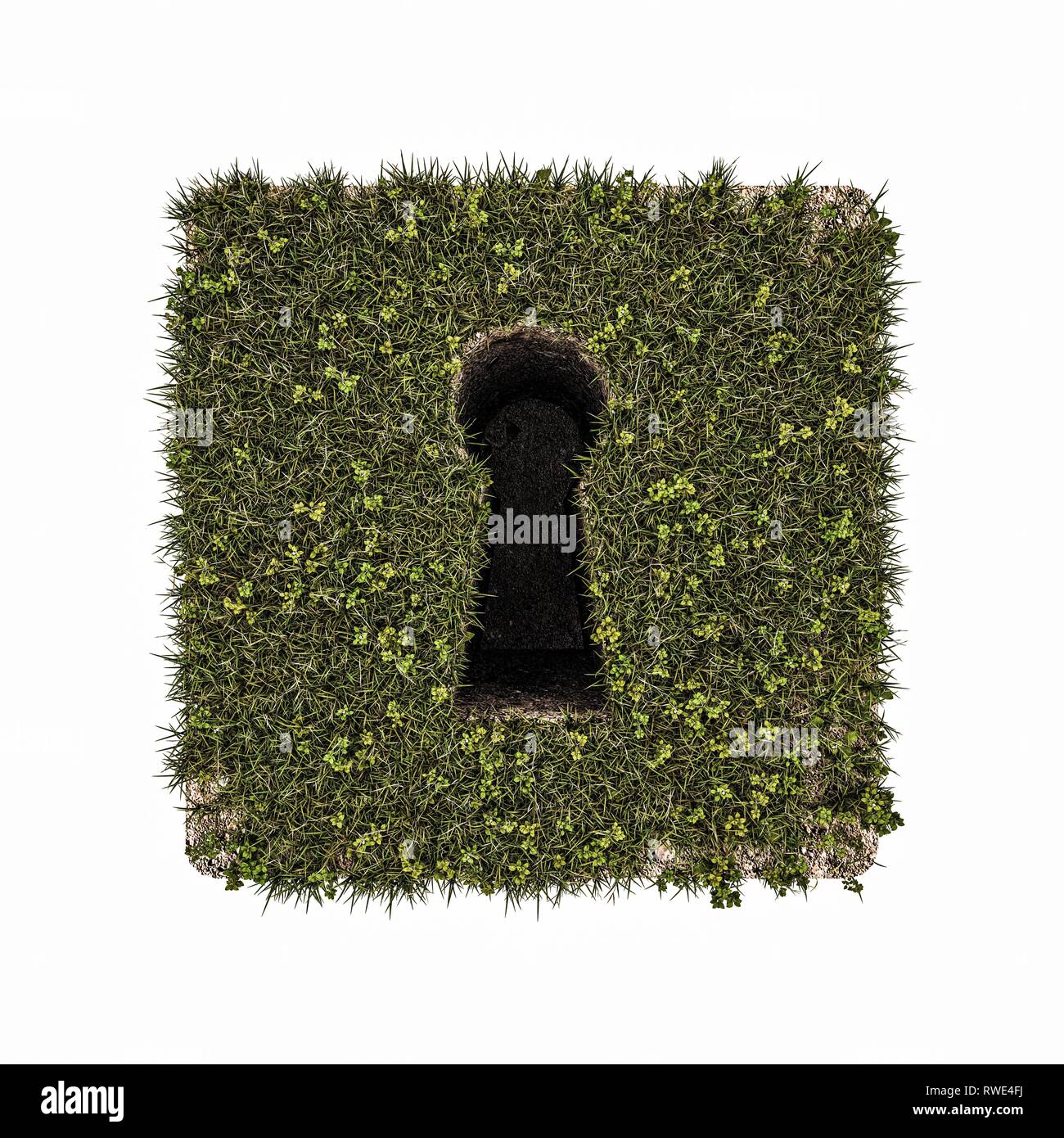 door look on grass isolated on white background Stock Photo - Alamy