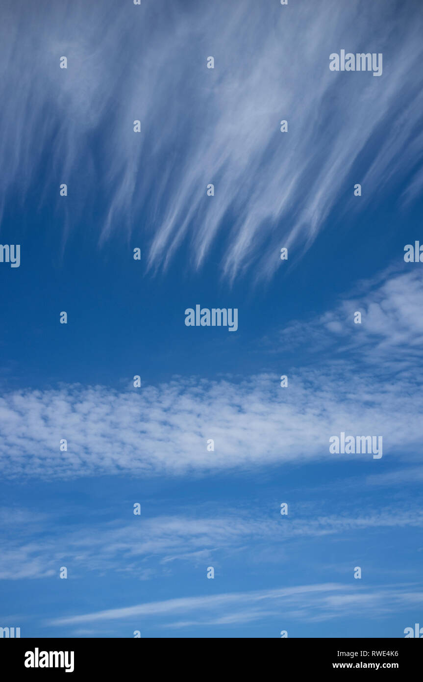 Hair puffs hi-res stock photography and images - Alamy