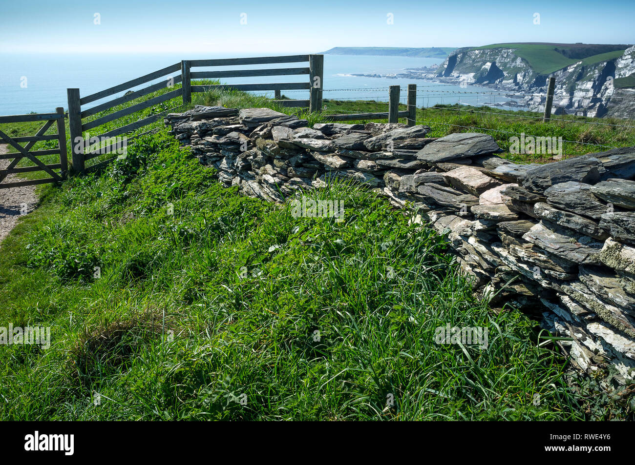 At the top of the cliff between Challaborough Beach and Ayrmer Cove ...