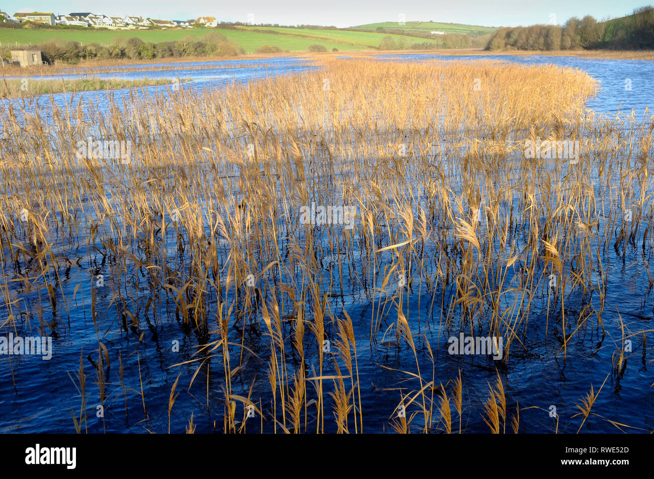 South milton ley hi-res stock photography and images - Alamy