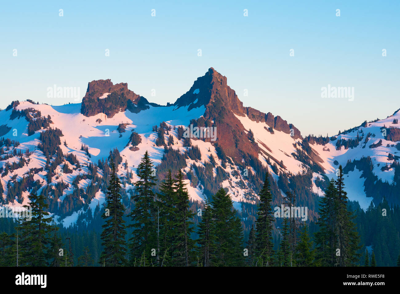 Paradise area at Mount Rainier National Park, Washington State, USA ...