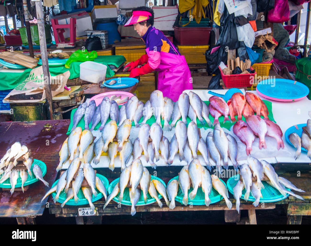 The Jagalchi Fish Market in Busan South Korea Stock Photo - Alamy