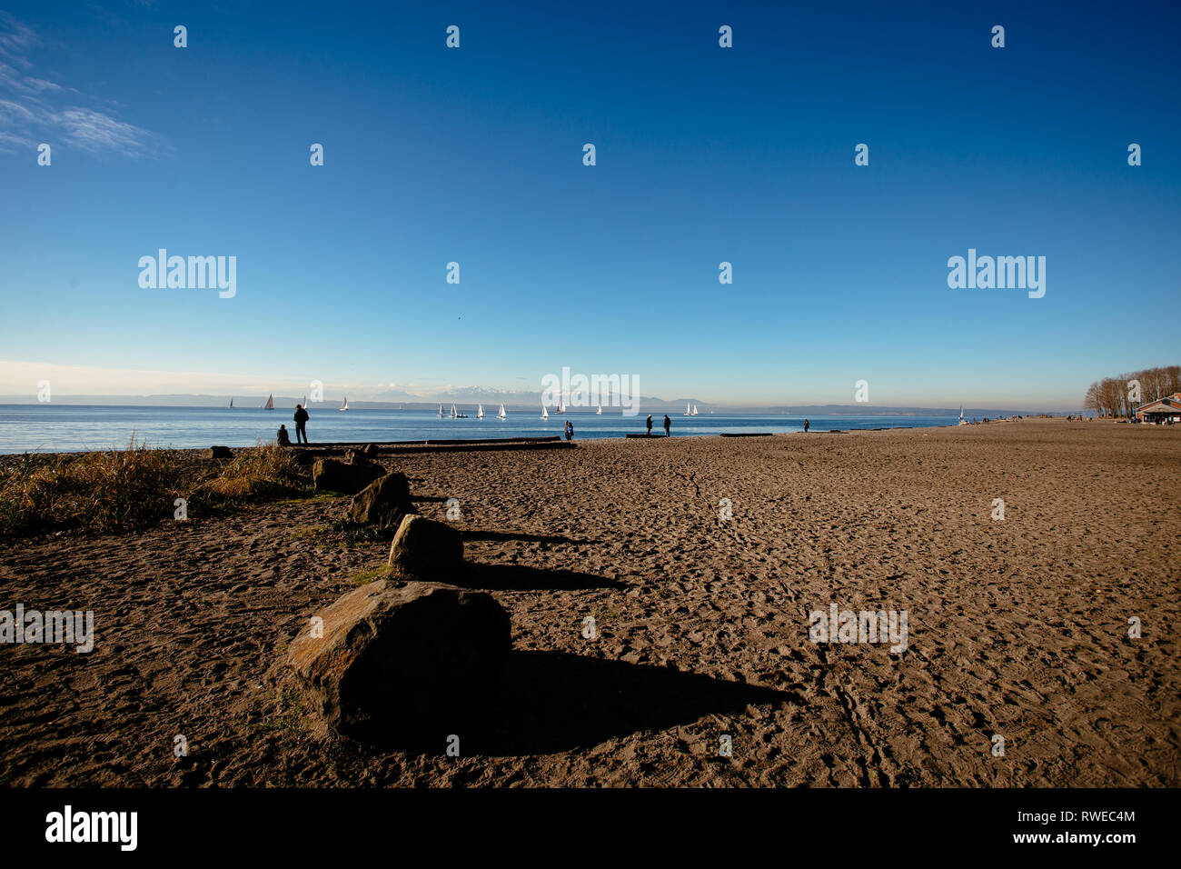 Seattle Oregon Sailing Boats on Puget Sound Stock Photo - Alamy