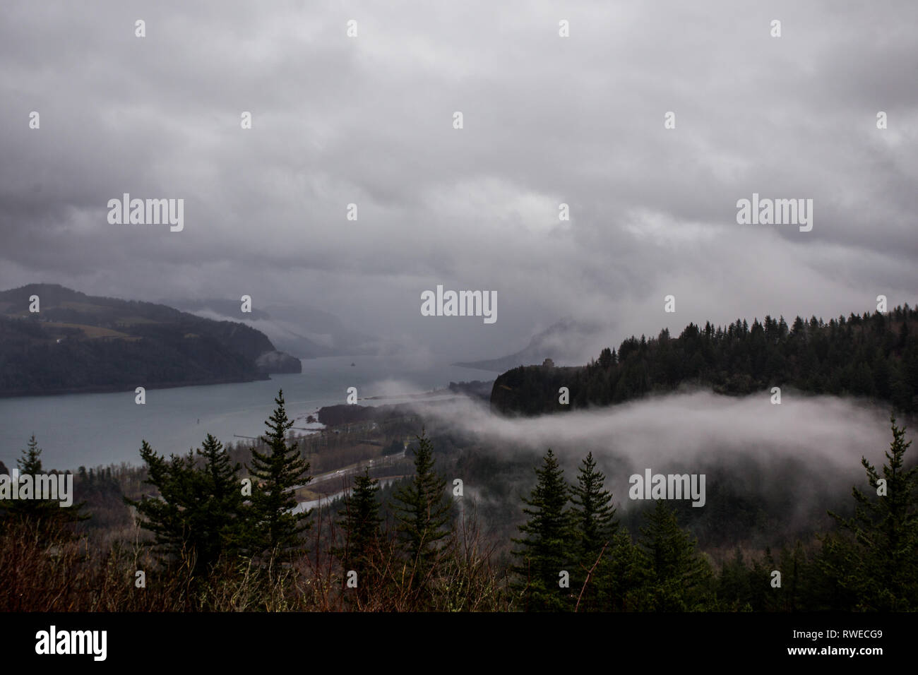 Chanticleer point hi-res stock photography and images - Alamy