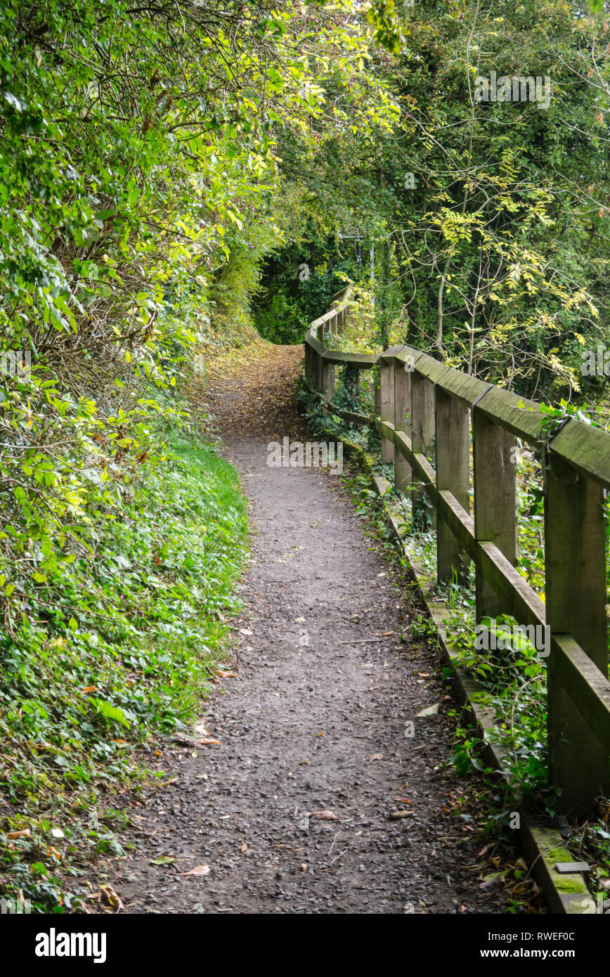 Treelined with pathway hi-res stock photography and images - Alamy