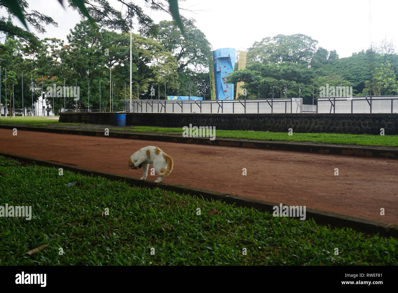 sport center during empty time Stock Photo - Alamy
