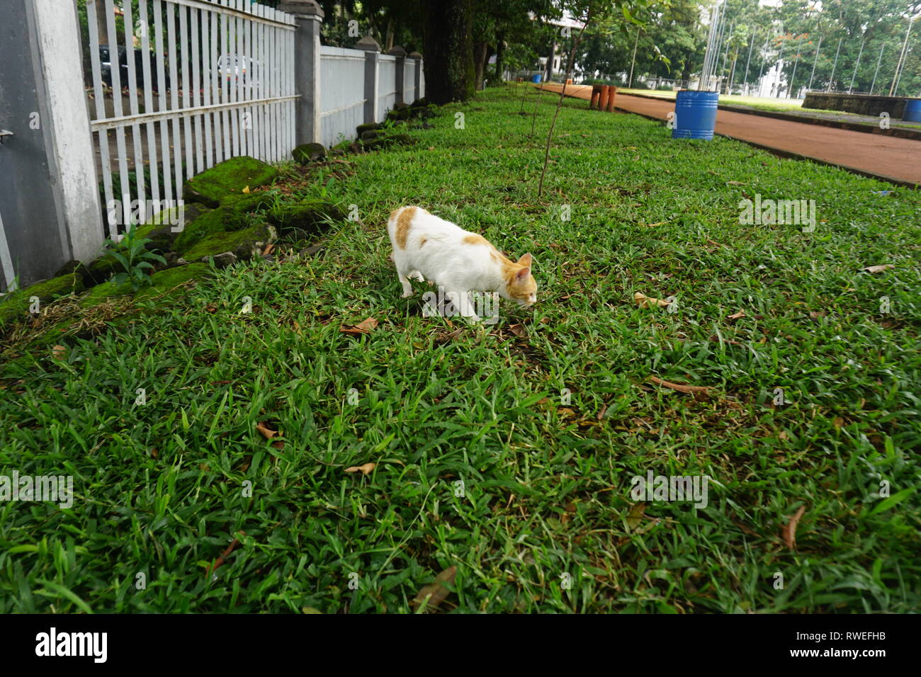 sport center during empty time Stock Photo - Alamy