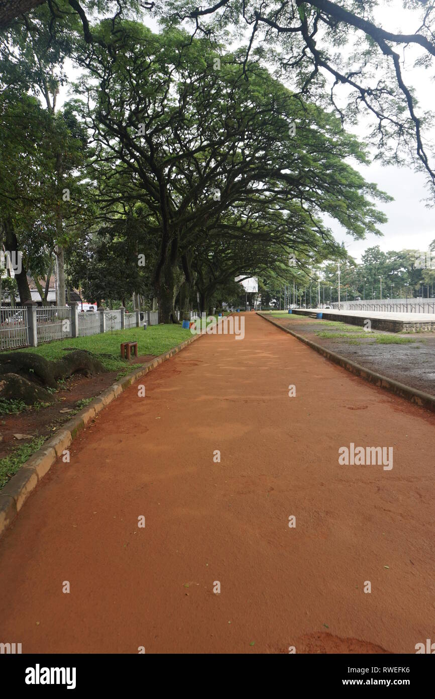 sport center during empty time Stock Photo - Alamy