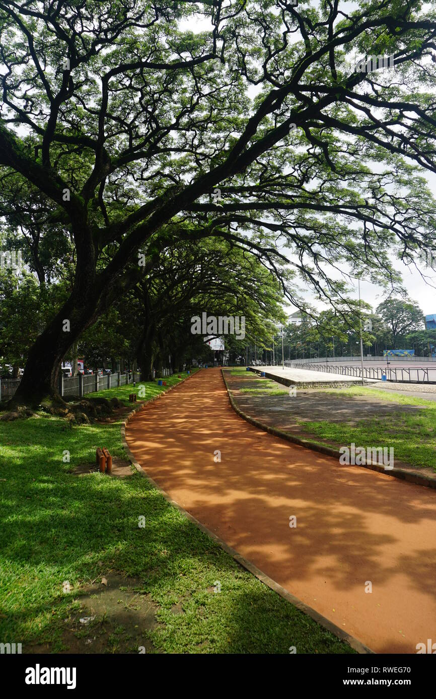 sport center during empty time Stock Photo - Alamy