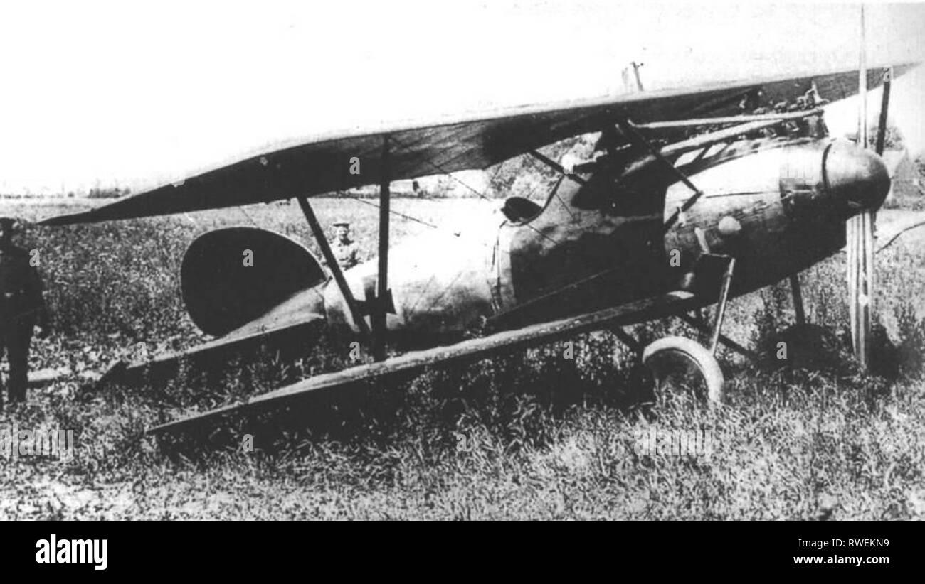 Albatros d v hi-res stock photography and images - Alamy