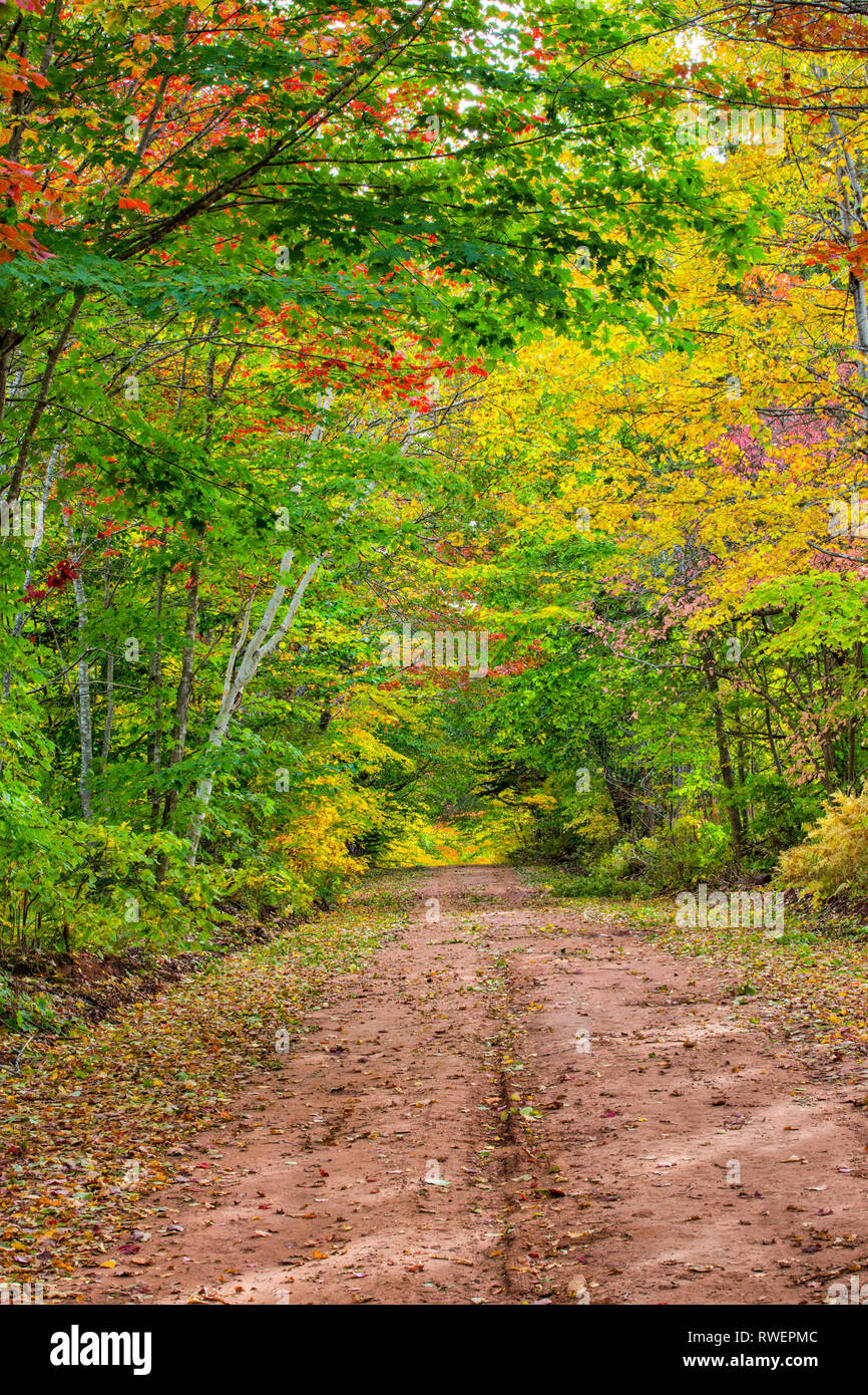 Country Dirt Road In The Fall