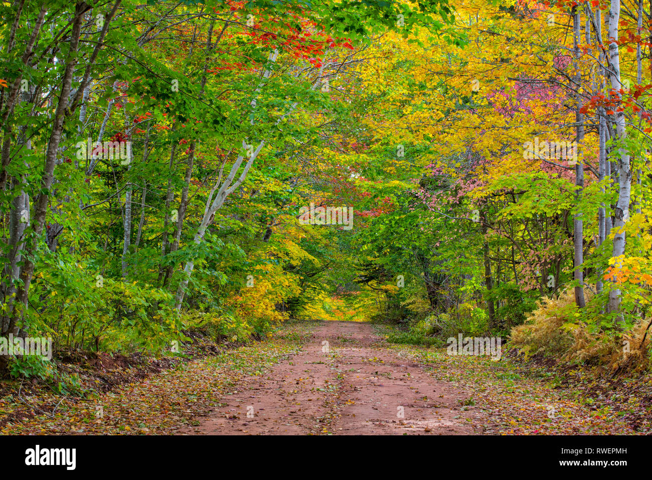 Clay dirt hi-res stock photography and images - Alamy