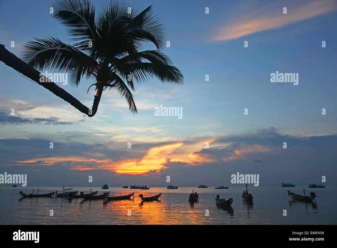Silhouette of a Palm tree leaning out to sea with fishing boats on the ...