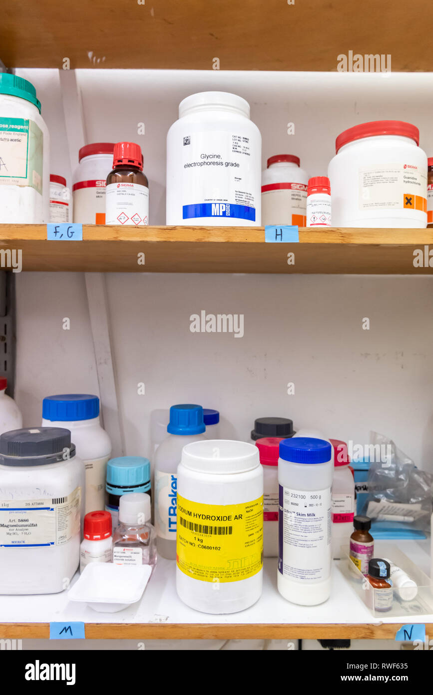 Chemical reagents in a laboratory for drug research Stock Photo - Alamy