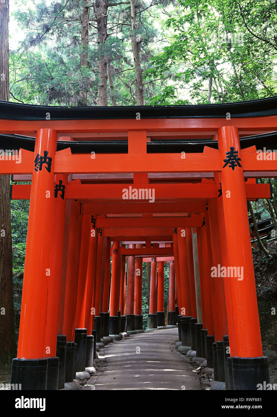 Japanese shinto columns hi-res stock photography and images - Alamy