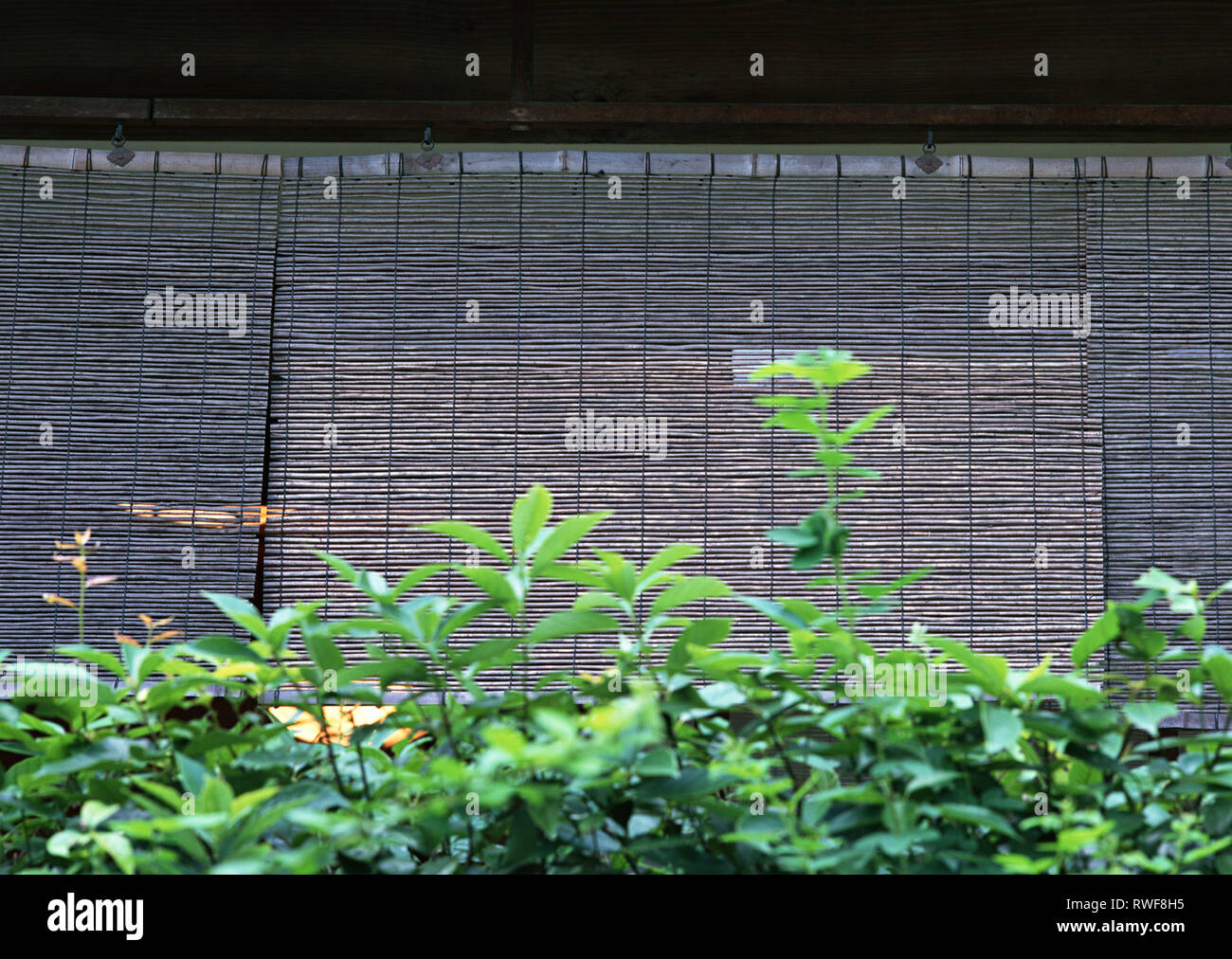 Japanese bamboo wooden curtain for windows background Stock Photo - Alamy