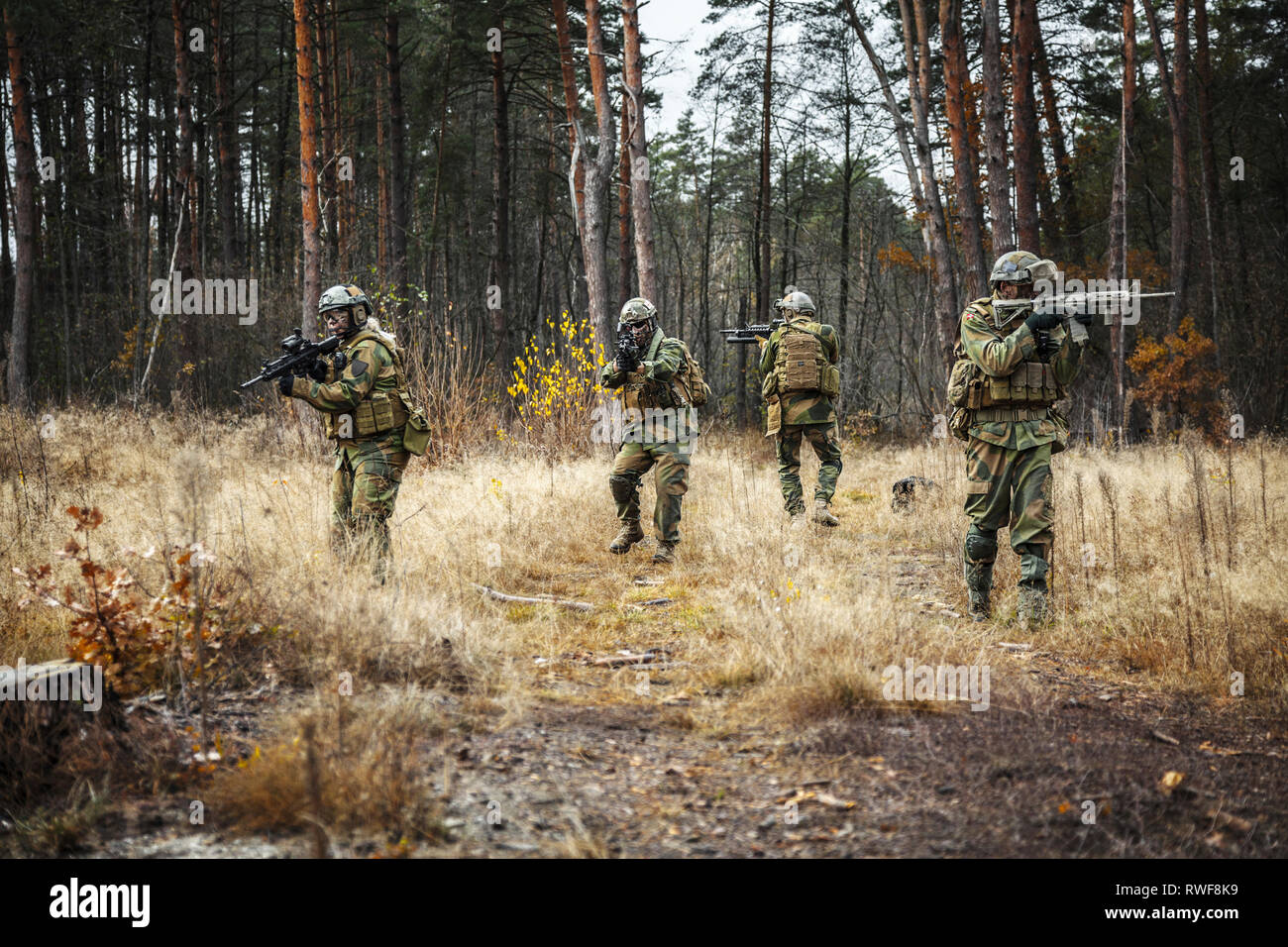 Norwegian Rapid reaction special forces FSK soldiers patrolling in the ...
