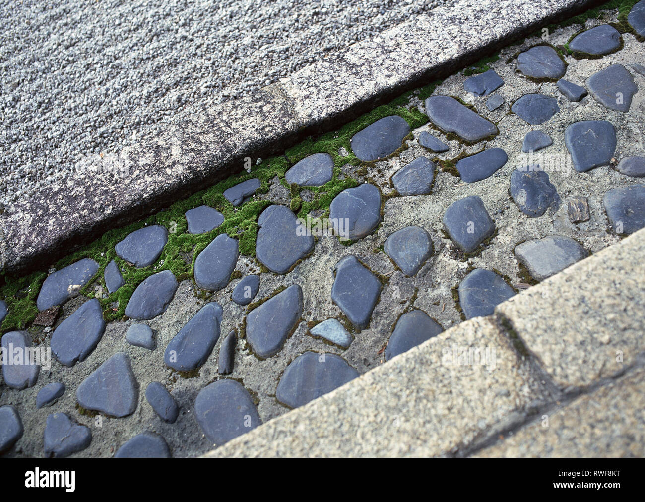 Japanese outdoor garden pathway with green bushes and stone flooring ...