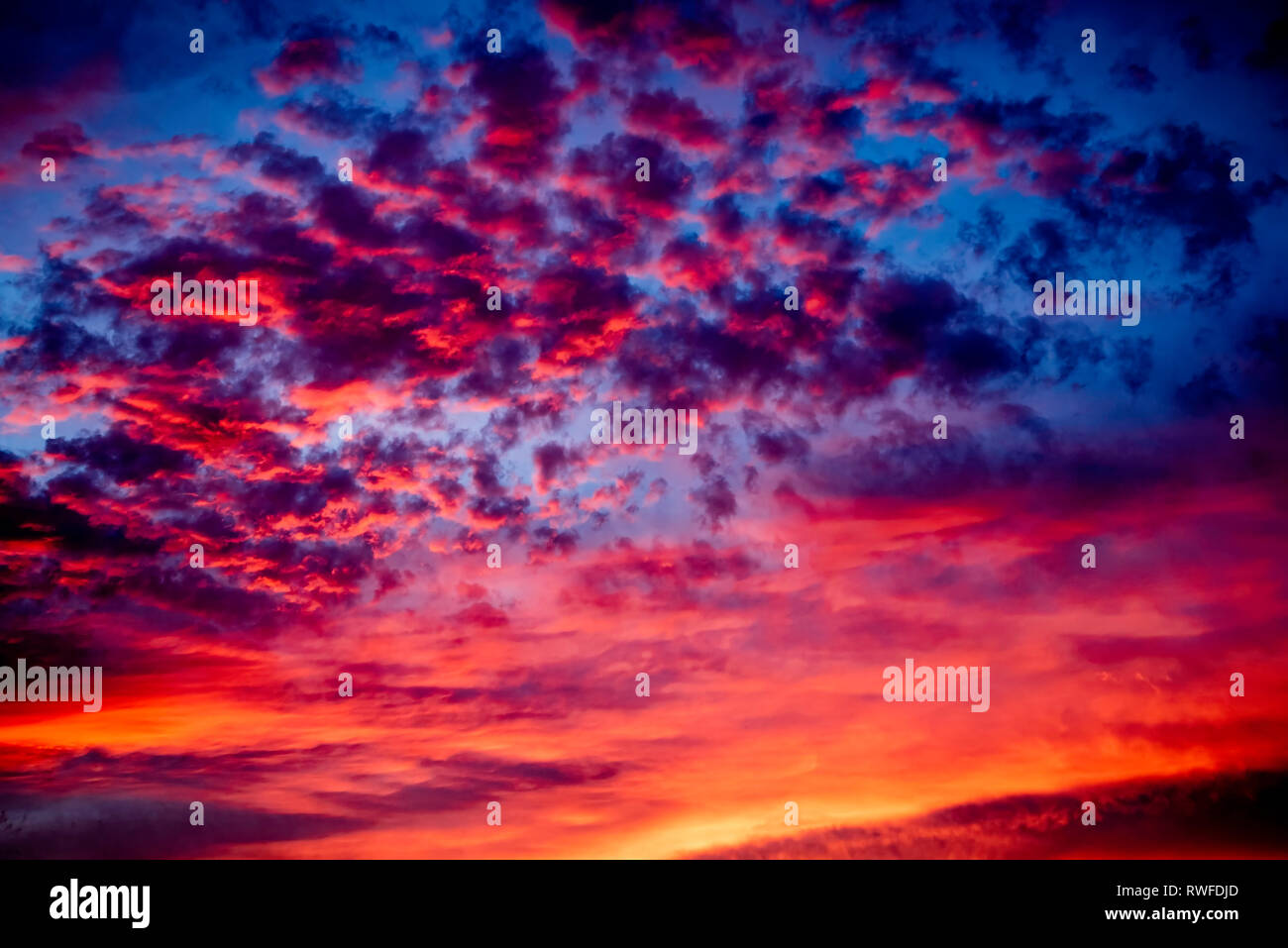 The magnificent deep blue color of the sky and golden yellow and orange ...