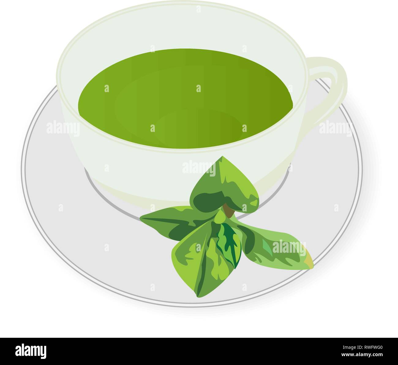 Peppermint tea vector illusstration on a white background Stock Vector ...